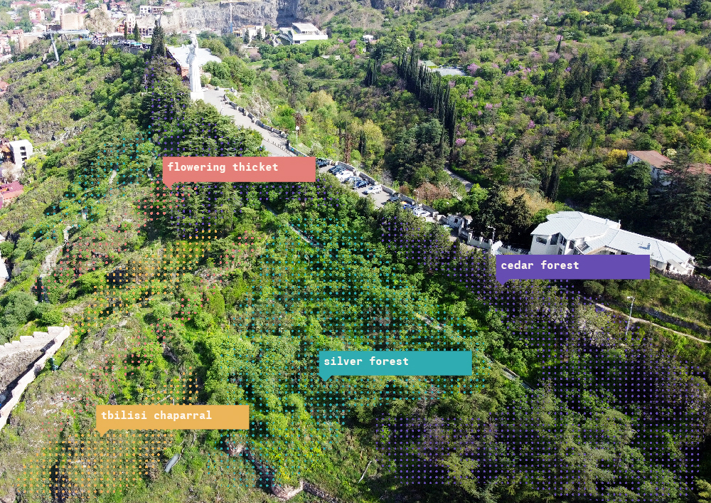 Tbilisi Urban Forest (Narikala Ridge Forest) | EUmies Awards