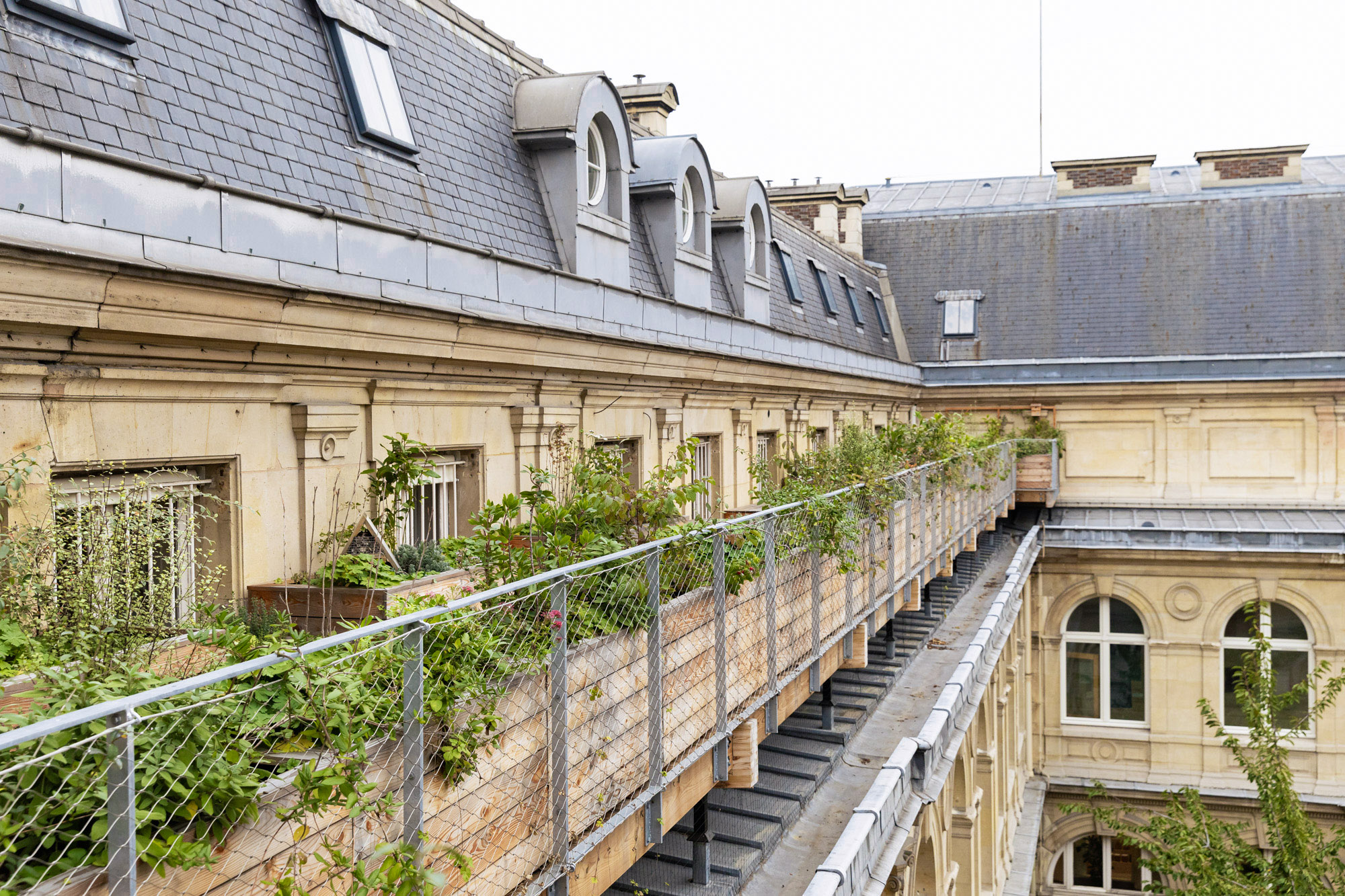 Roofscapes Initiative | EUmies Awards