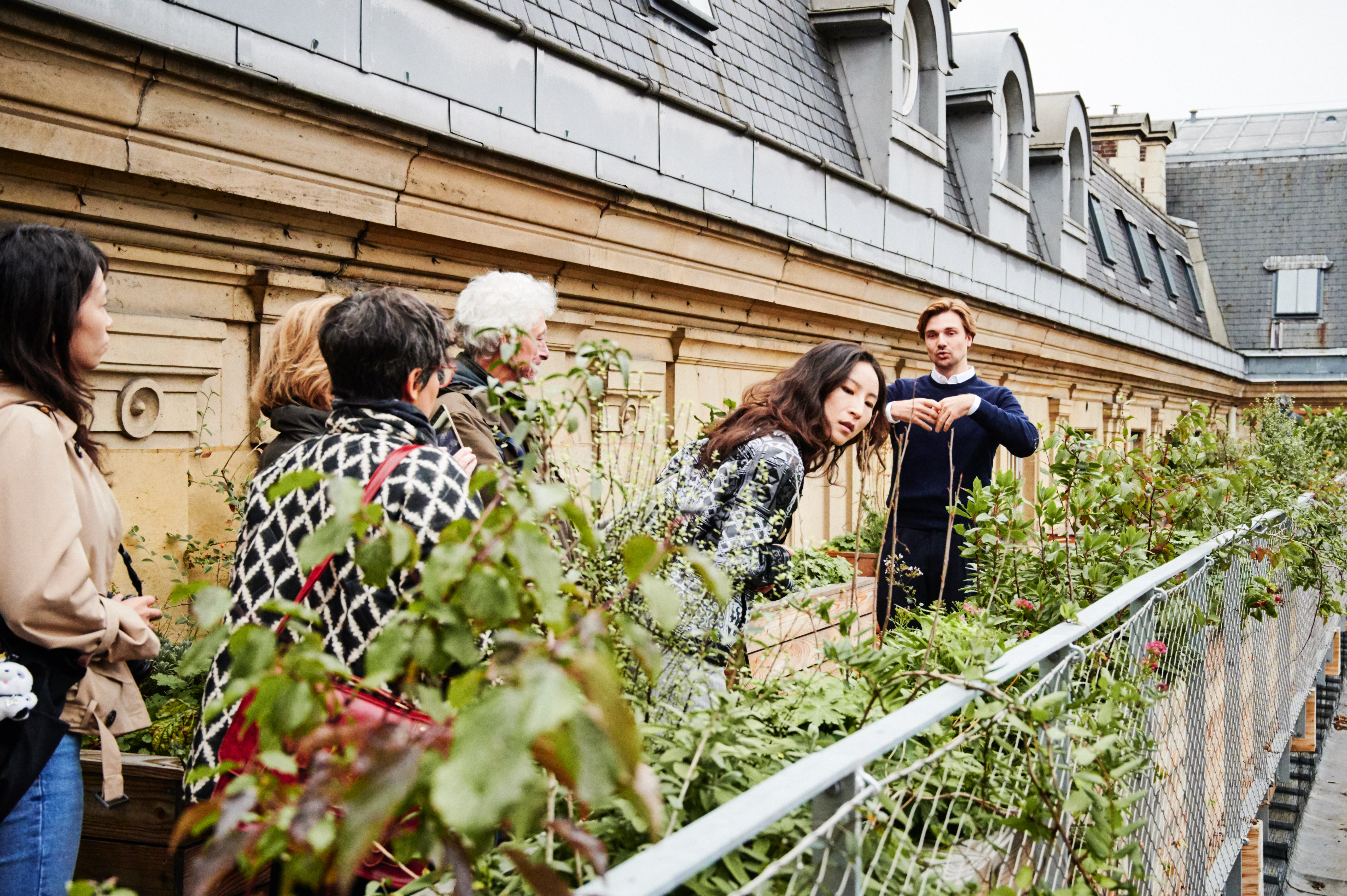 Roofscapes Initiative | EUmies Awards