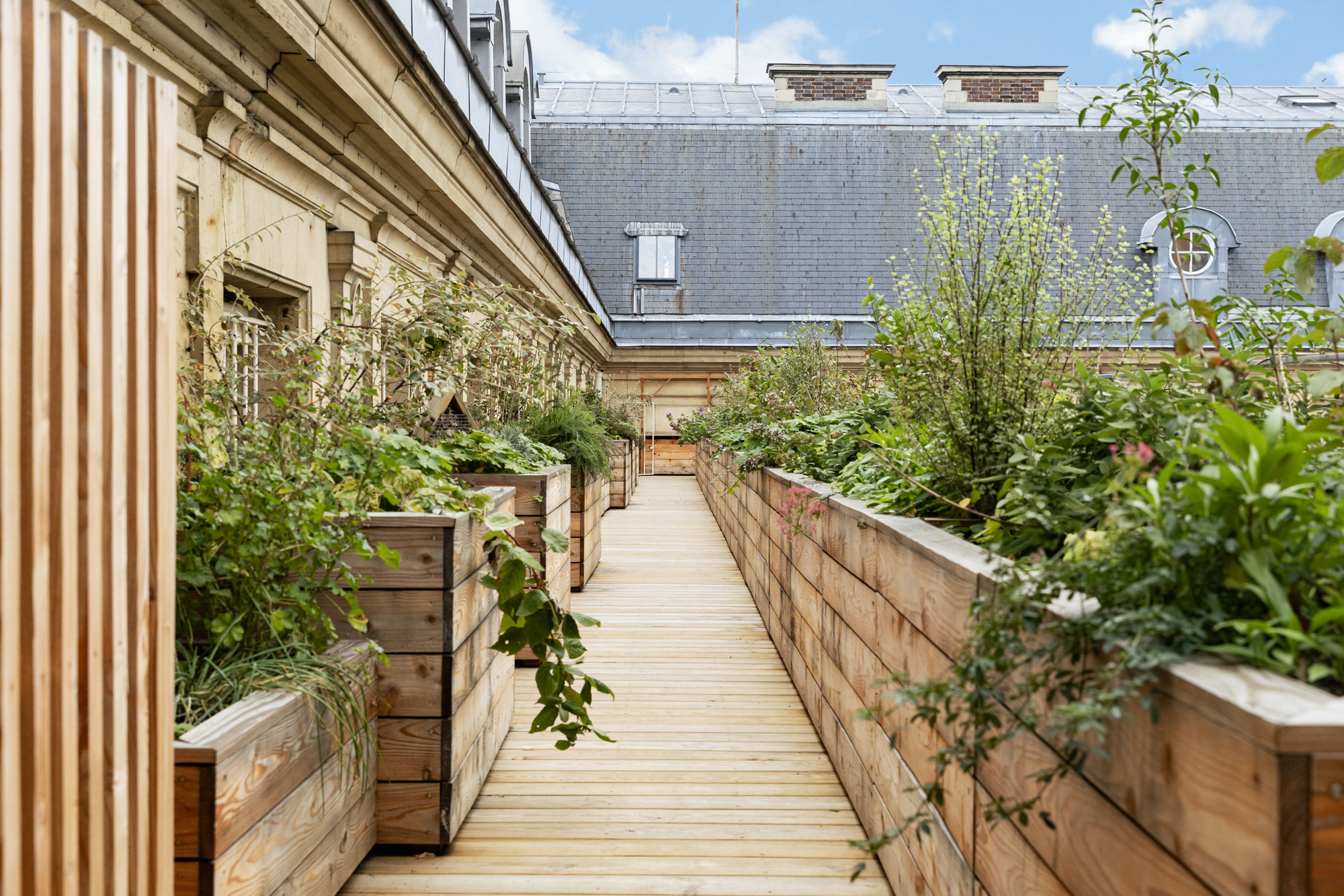 Roofscapes Initiative | EUmies Awards
