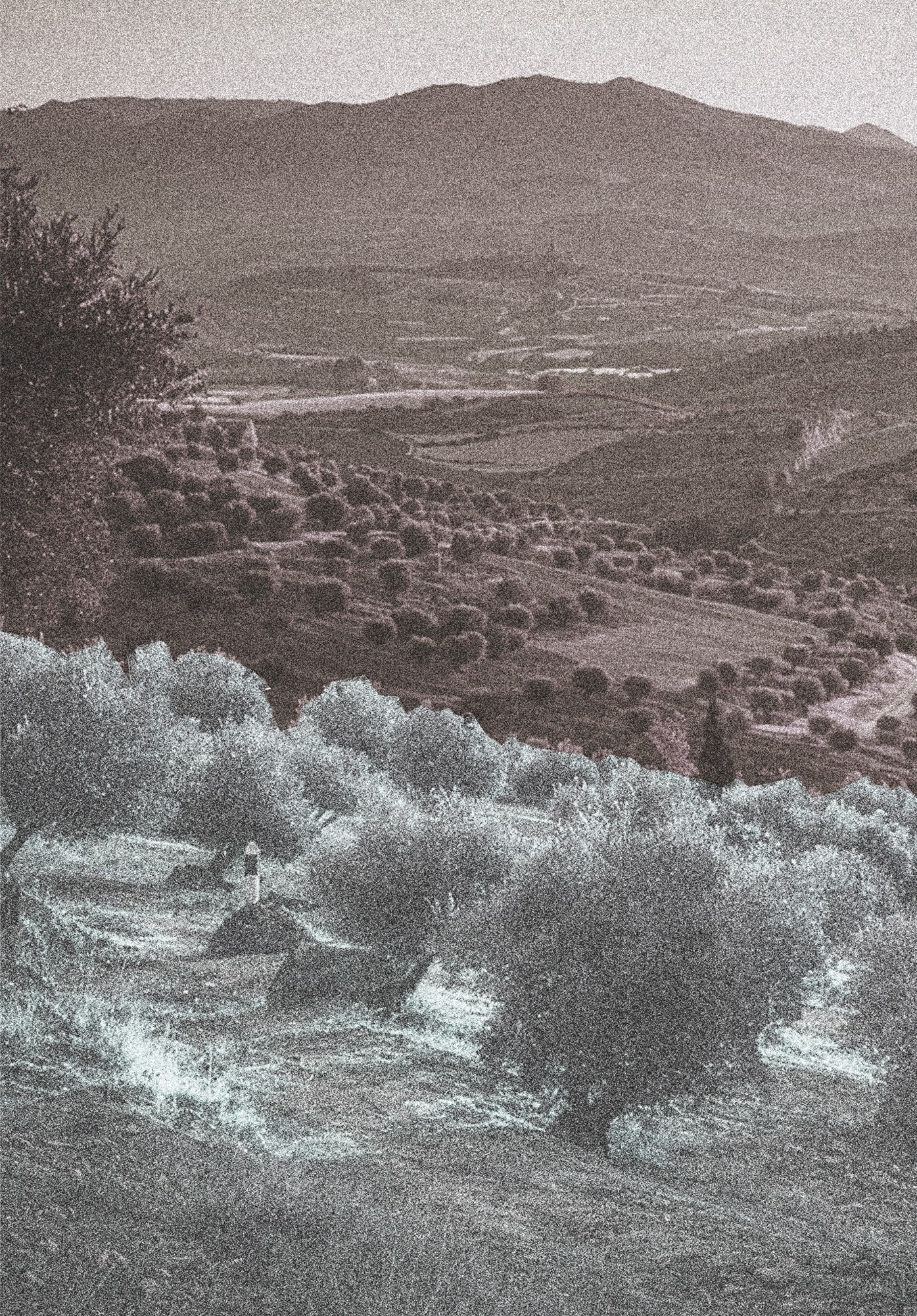 Fragmented landscapes. | EUmies Awards
