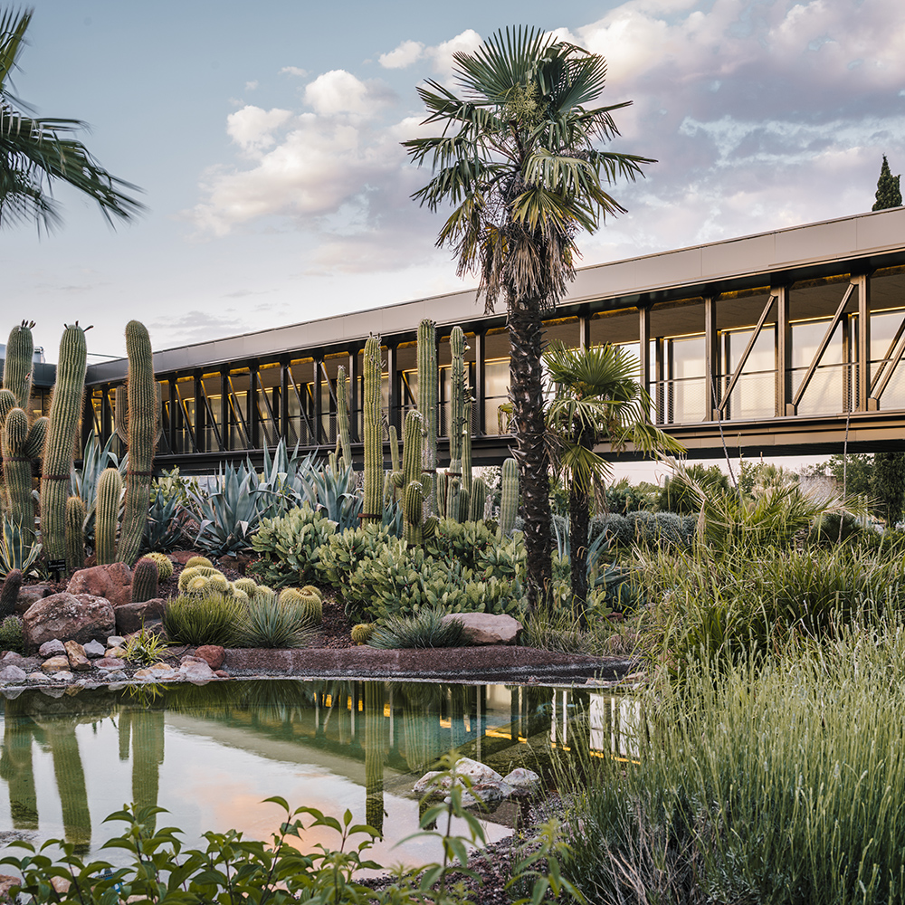 Desert City | EUmies Awards