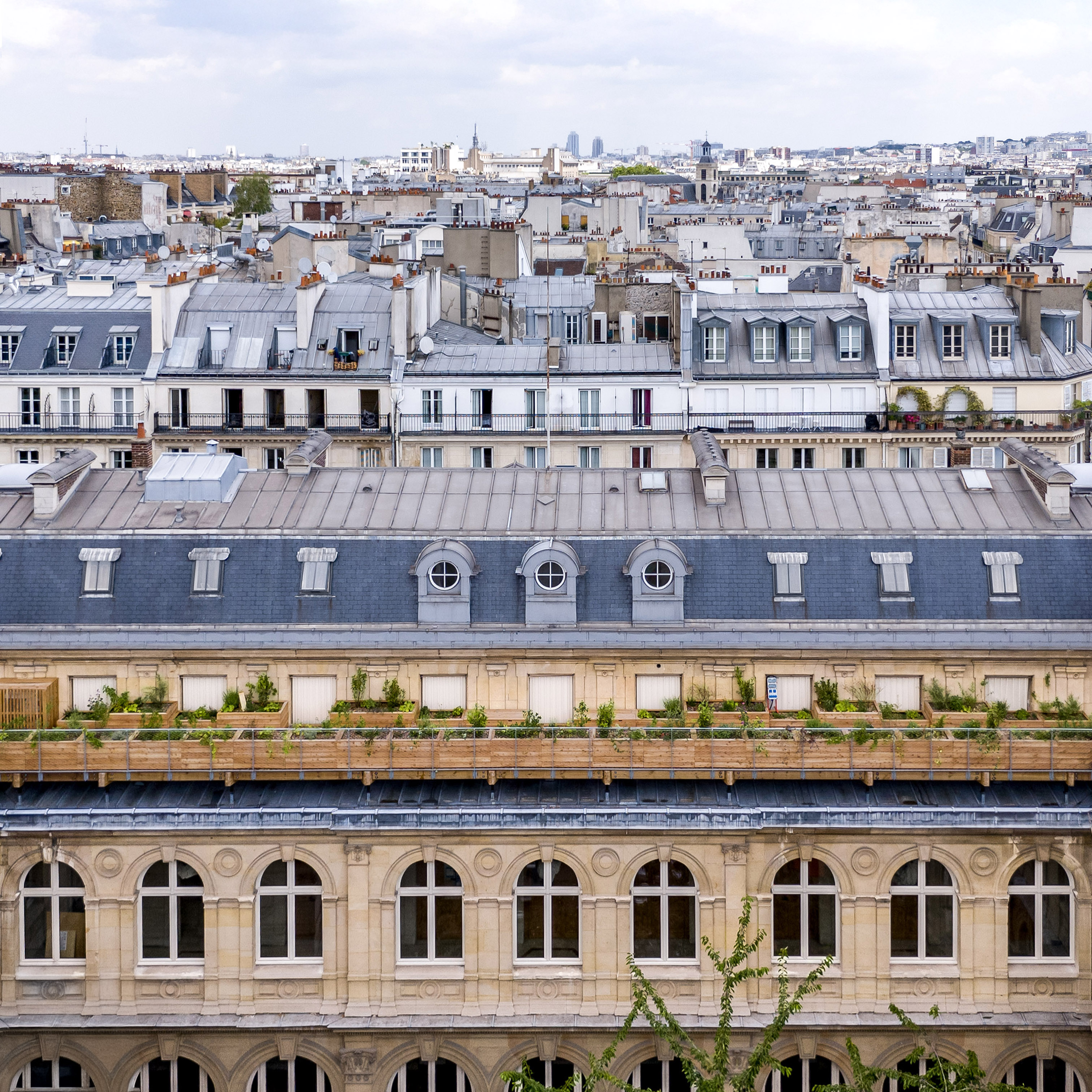 Roofscapes Initiative | EUmies Awards