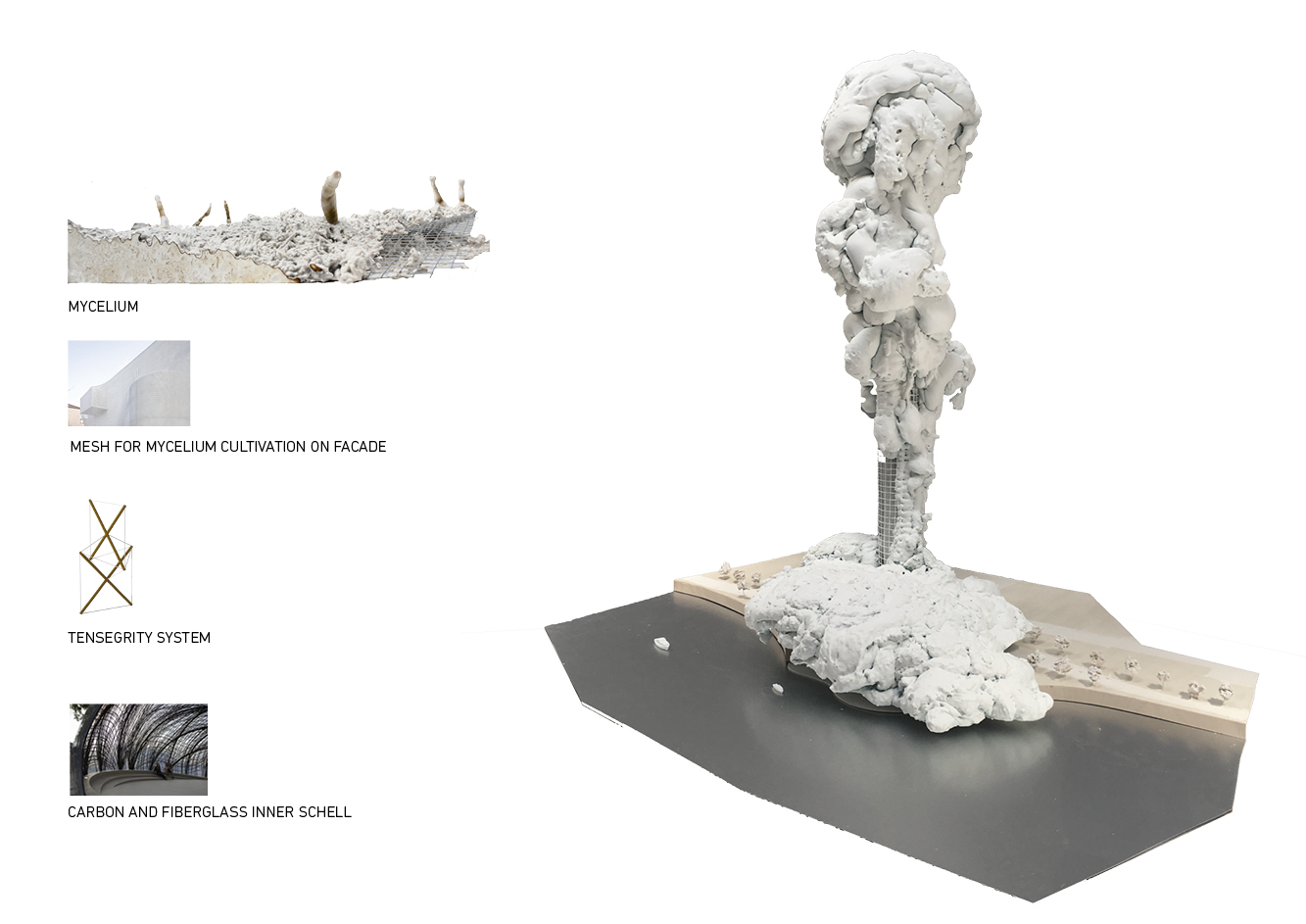 Biomimetics in Architecture | EUmies Awards