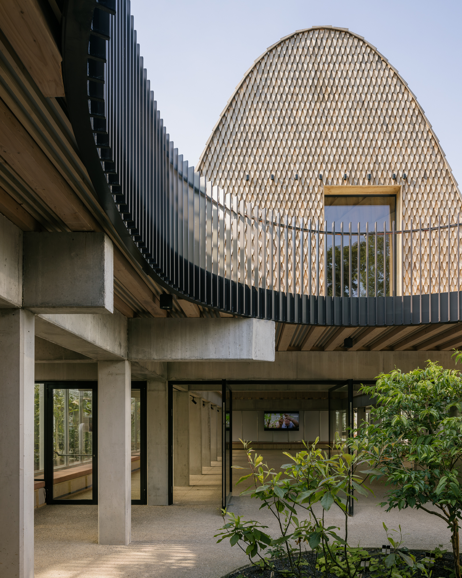 The Green Ark in the Botanical Garden of Meise | EUmies Awards