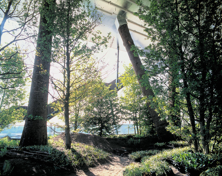 Dutch Pavilion, EXPO 2000 | EUmies Awards