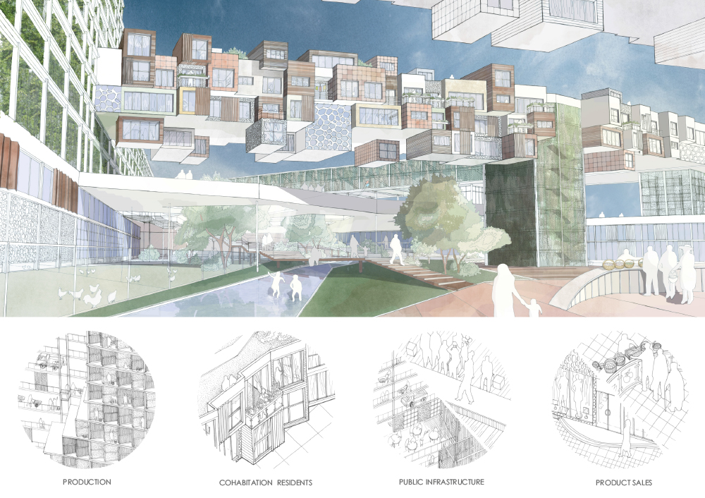 Culture of labour. Project of the housing complex with the expanded ...