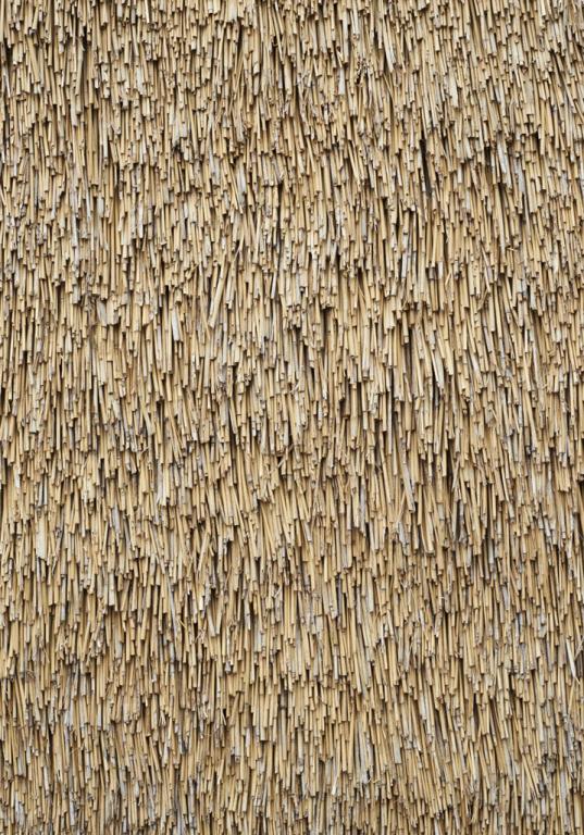 Tåkern visitors centre | EUmies Awards